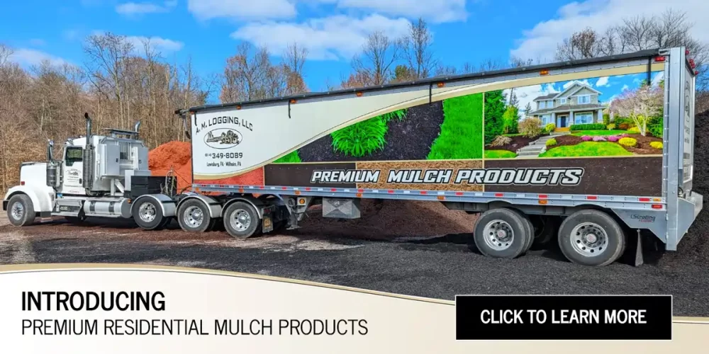 PA Timber Harvesting, Land Clearing & Mulch | A.M. Logging