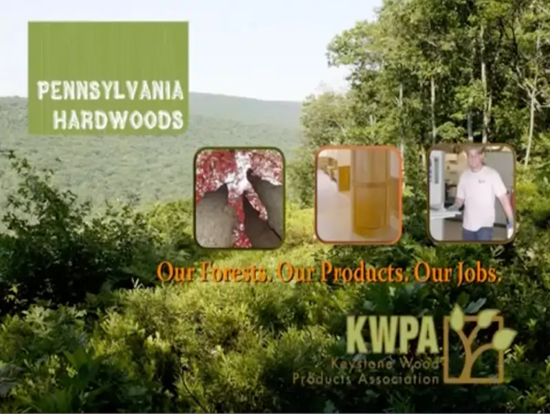 A.M. Logging Videos | Timber Harvesting & Excavating | PA